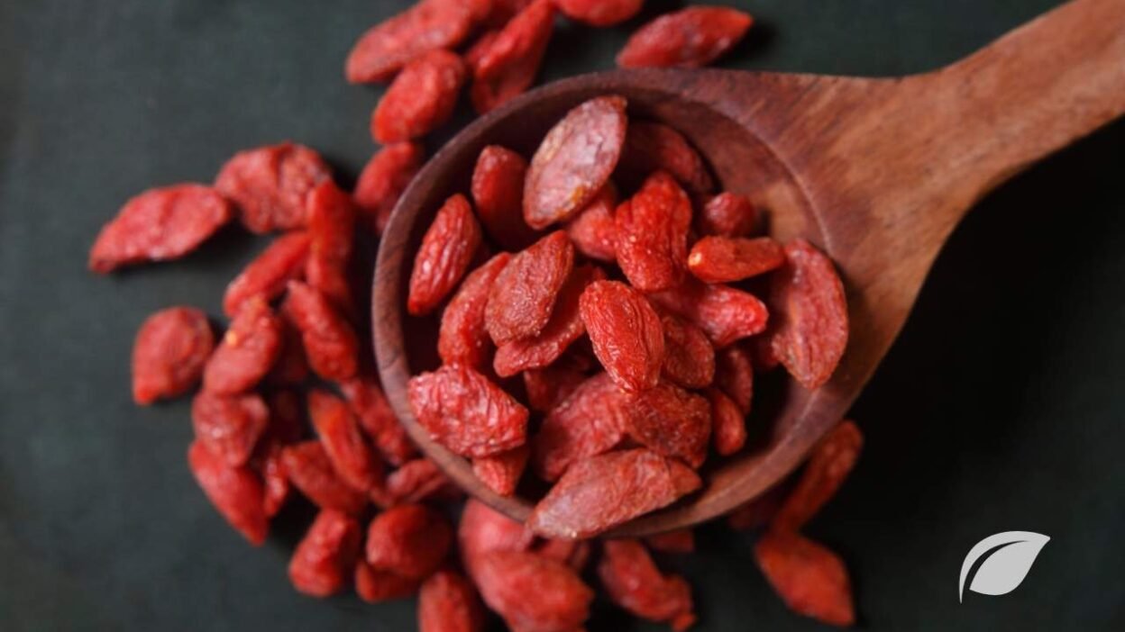 Goji Berry Ile Zayıflama Mümkün Mü? | Diyetisyen Tuğba Yaprak
